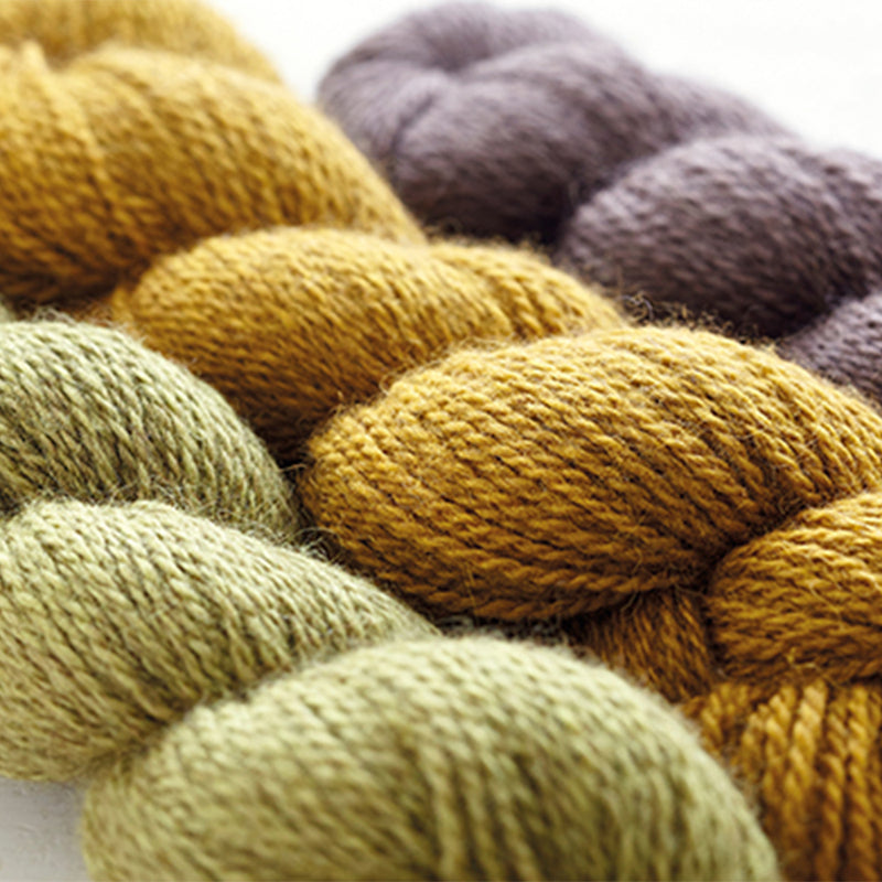 Quality Knitting and Crochet Essentials | The Little Knitting Company